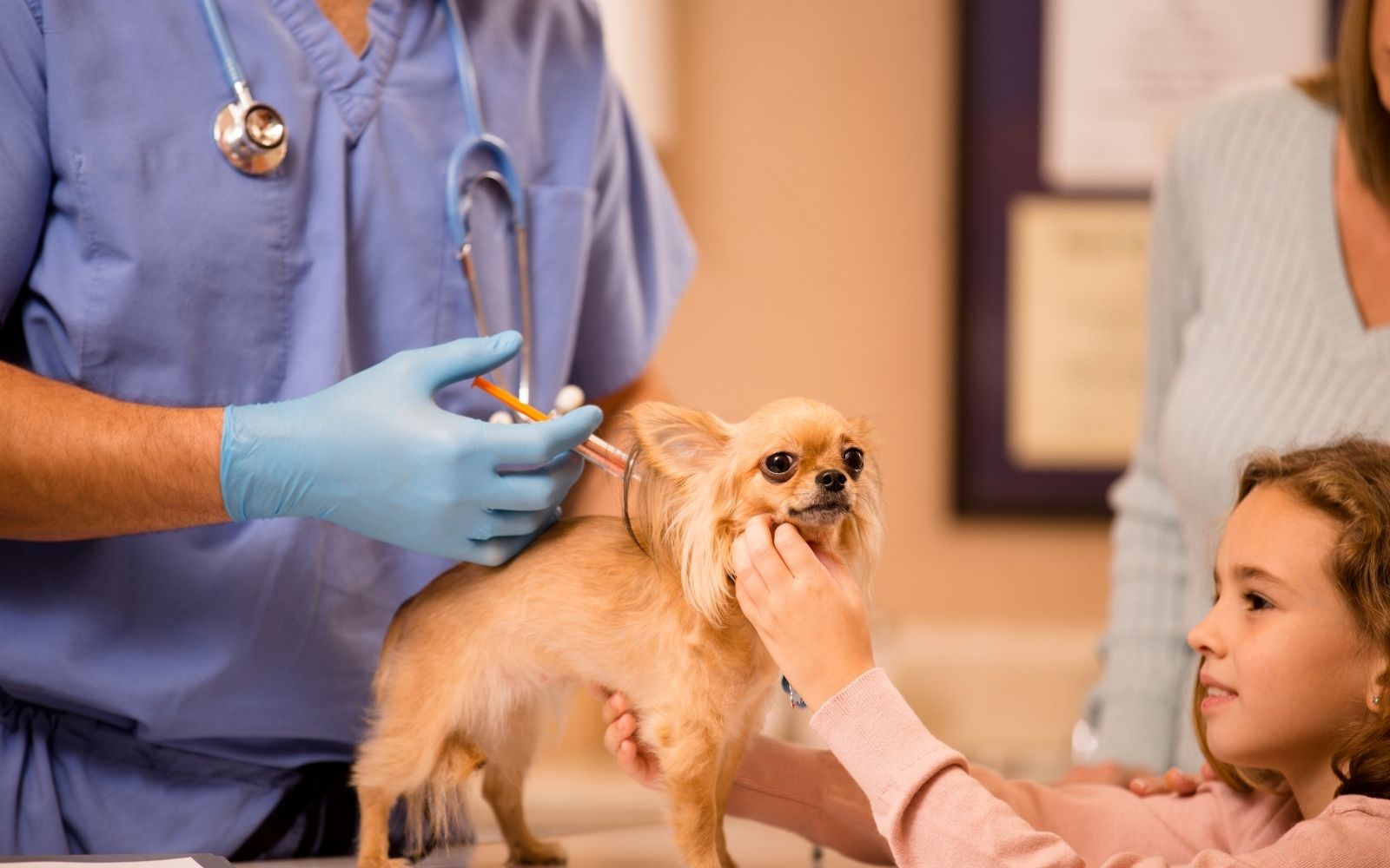 Vaccination – Advanced Veterinary Center