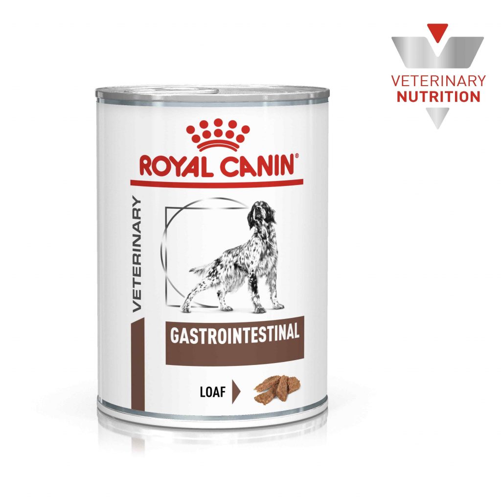 Vet Health Nutrition Canine GastroIntestinal (WET FOOD – Cans) 12 x ...
